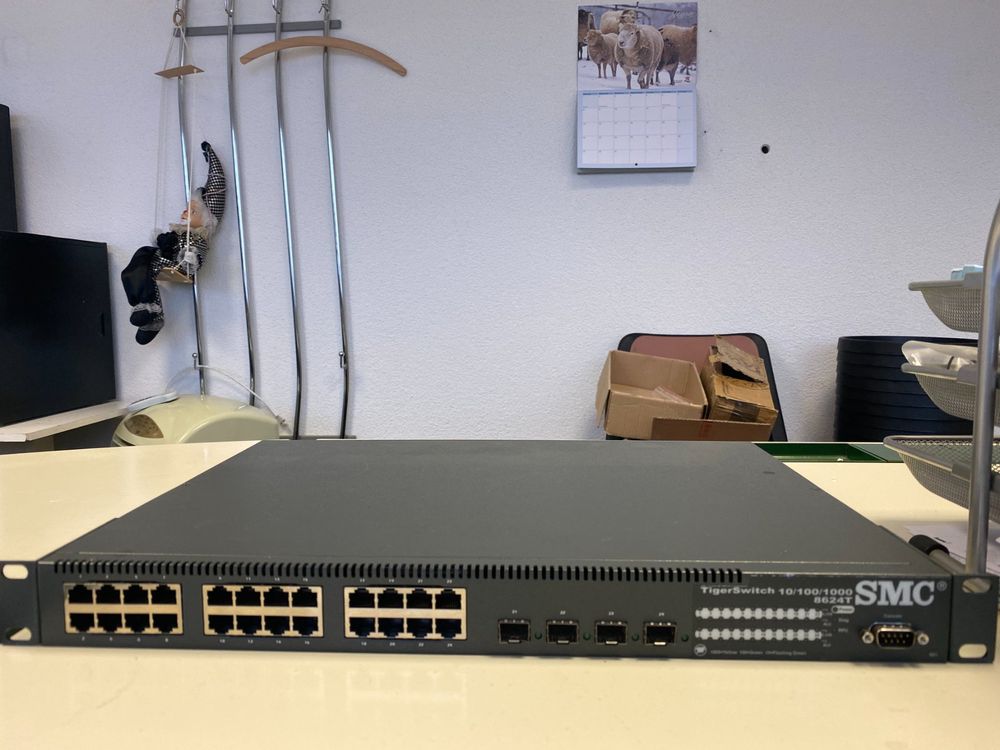 Switch SMS 10/1000 | Kaufen auf Ricardo