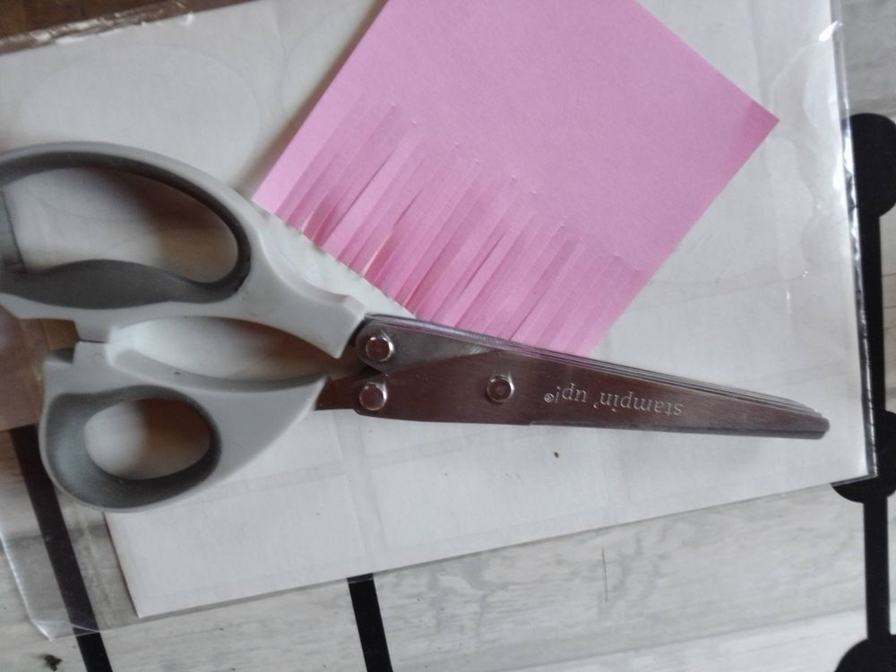 Fransen Schere | Kaufen auf Ricardo