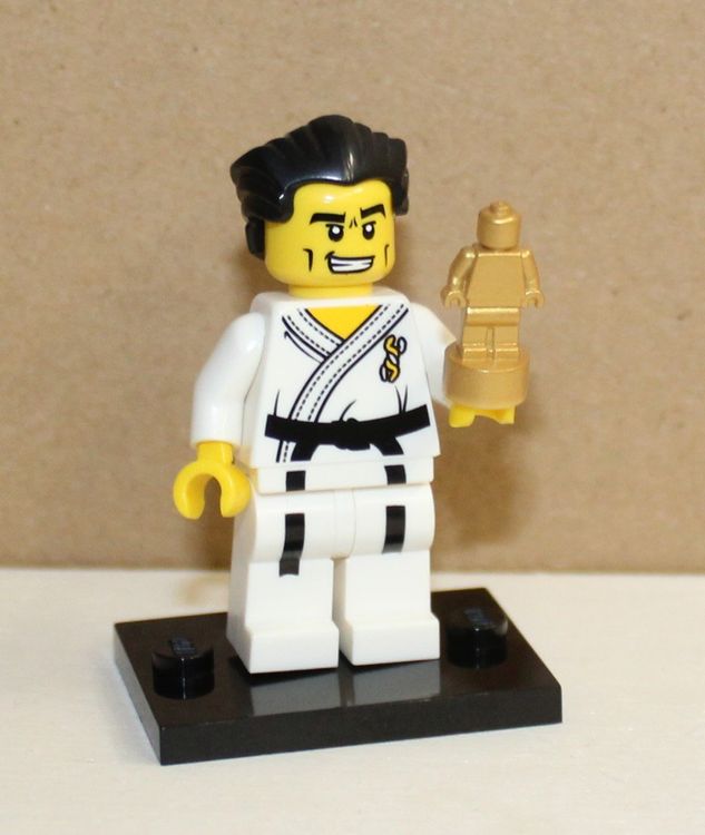 Lego Serie 2 / Nr.14 Minifigur Figur Karate Master (Gebraucht) in ...