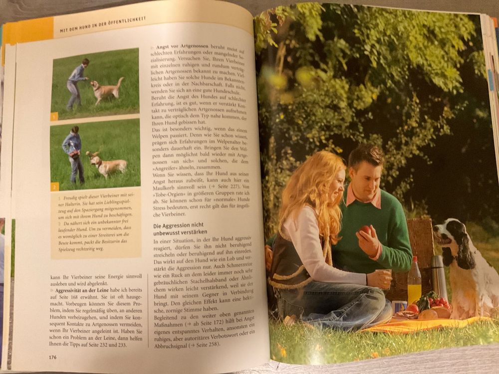 Das grosse GU Praxishandbuch Hunde-Erziehung (Gebraucht) in Avenches für CHF 9.9 – mit Lieferung ...