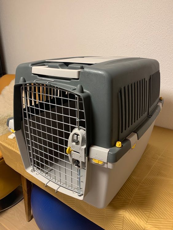 Hundetransportbox (Gebraucht) in Oberschan für CHF 50 – nur Abholung auf Ricardo kaufen