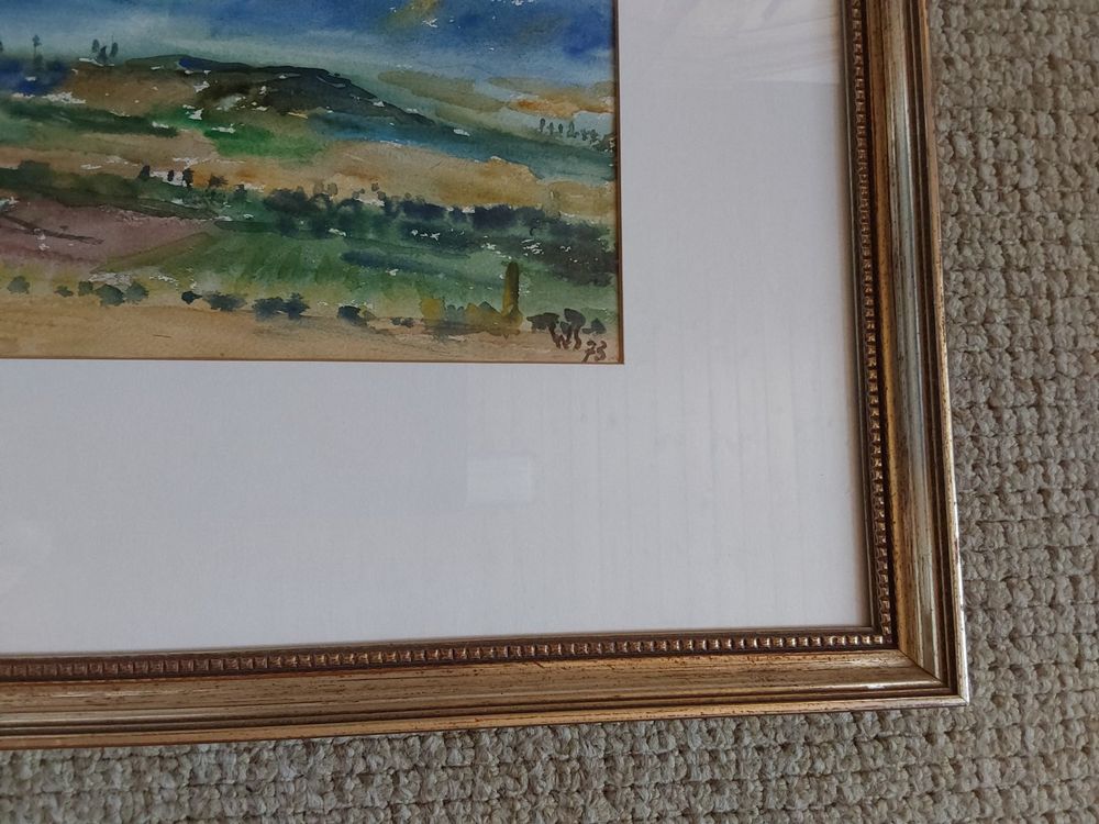 Walter Sautter. Aquarelle Signiert. 1973 Mit Rahmen 50x62cm. (Gebraucht) in Steinach für CHF 49 ...