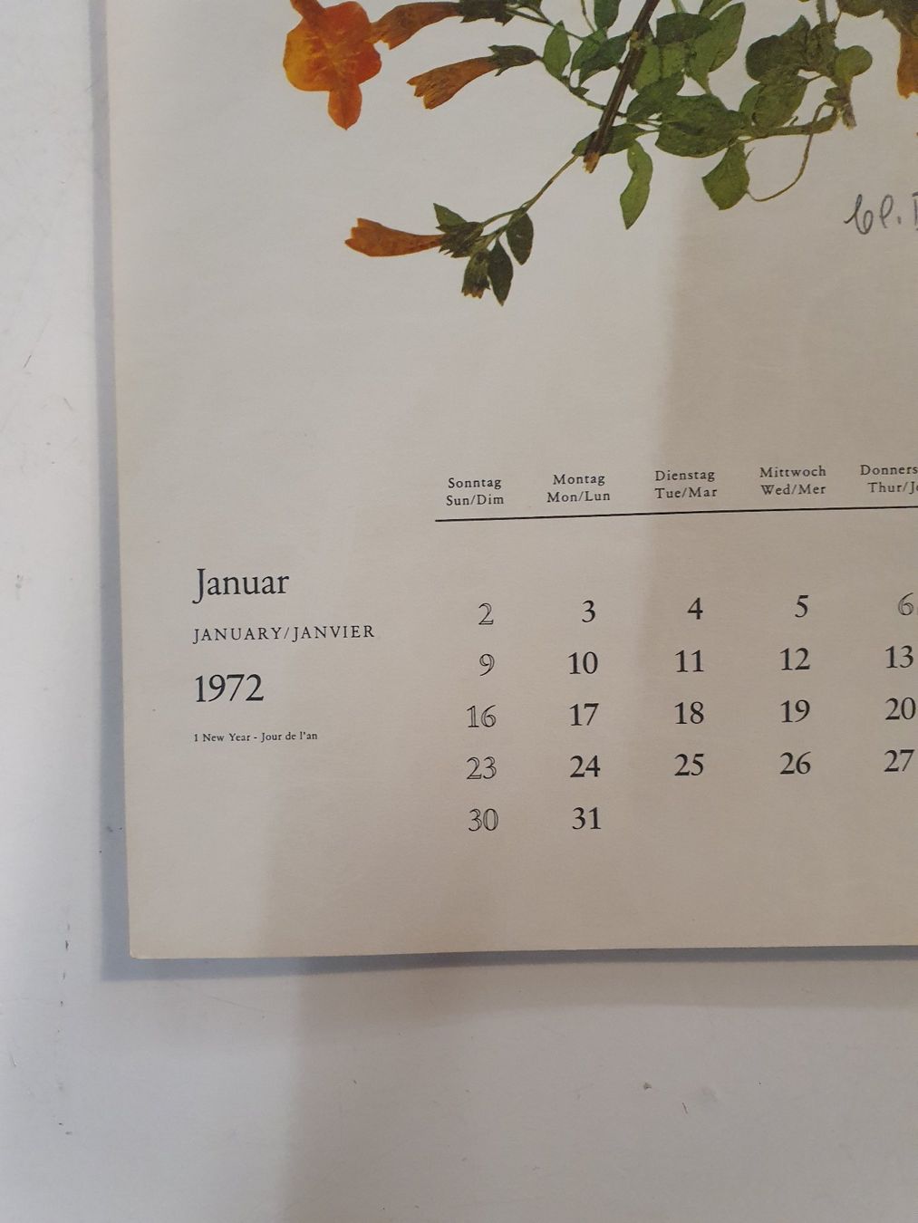 Korsch Kalender Blumen und Gräser Claire Britzke-Neef 1972 (Gebraucht ...
