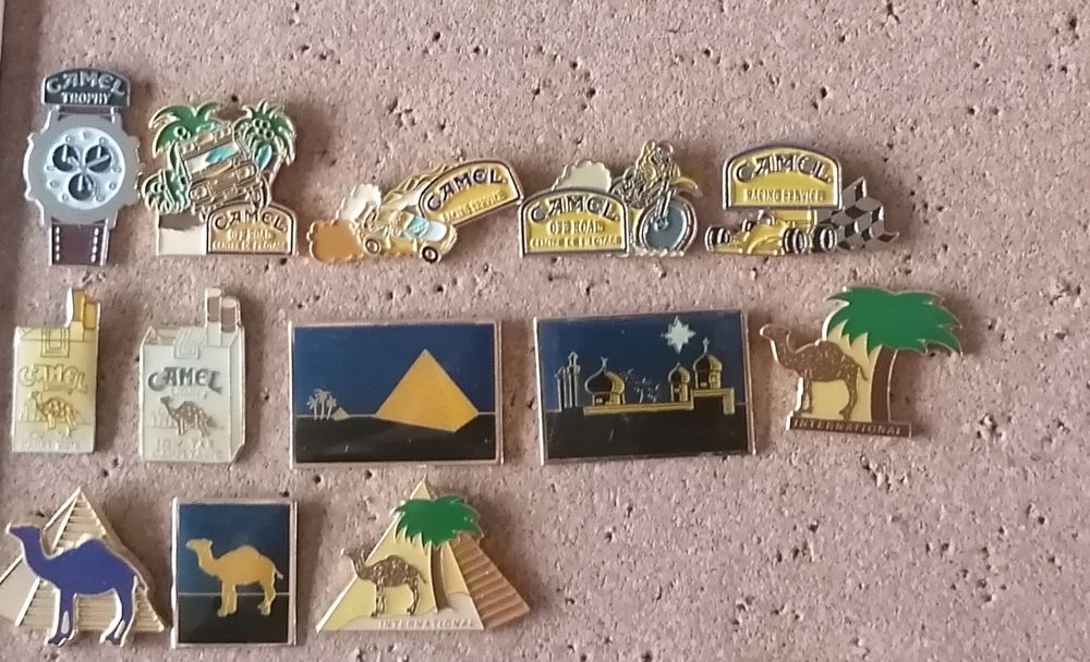 13 Pin Camel (Gebraucht) in Messen für CHF 4 – mit Lieferung auf ...