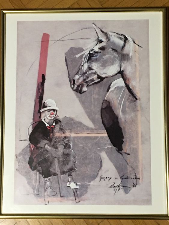 Rolf Knie „Circus“ (Gebraucht) in Wangen b. Olten für CHF 25 – mit Lieferung auf Ricardo kaufen