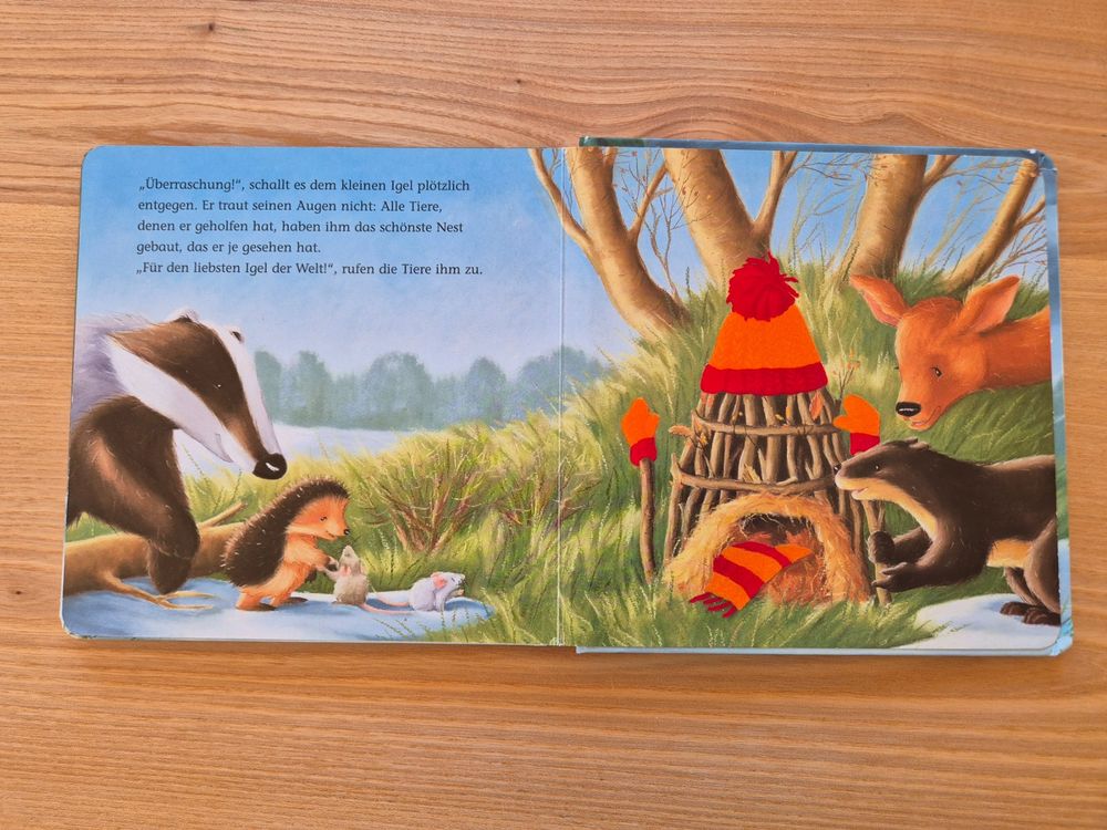 Der kleine Igel und das grosse Geschenk / Papp- Bilderbuch (Gebraucht ...