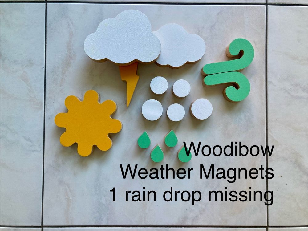 Montessori Wodibow magnets - wooden weather pieces | Kaufen auf Ricardo