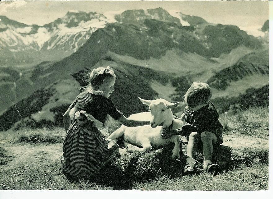 Ziege + Kinder Berner Oberland BE Motiv (Gebraucht) in Ennetmoos für ...