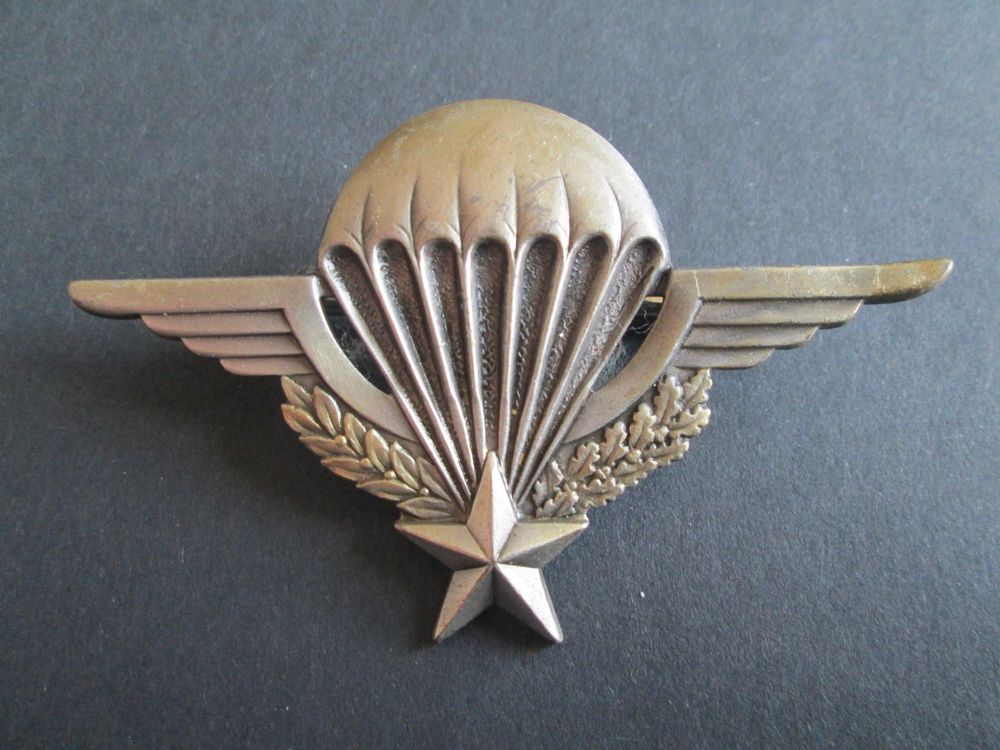 Unbekannte Militär Medaille, Dragon Paris Fance, | Kaufen auf Ricardo