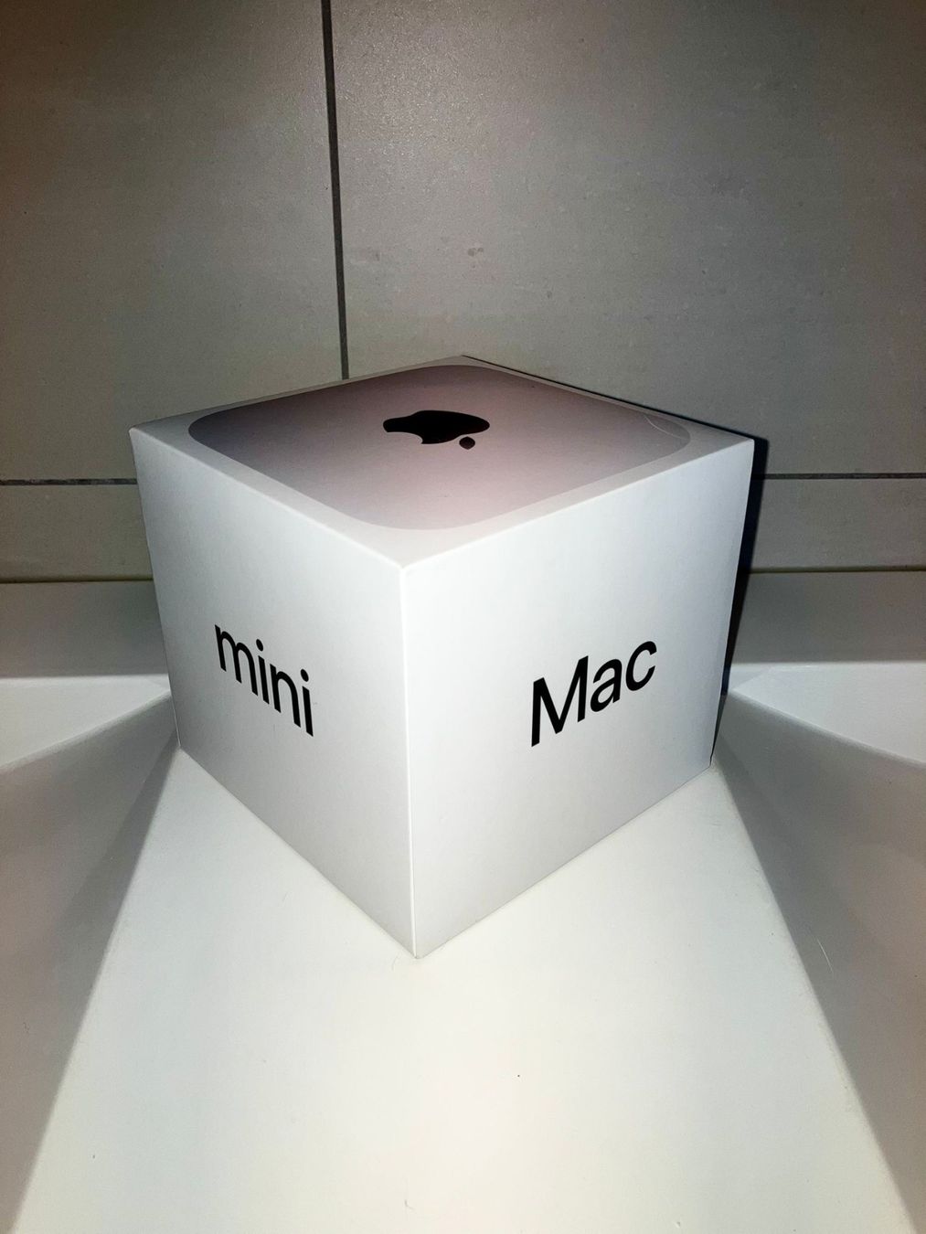 Apple Mac Mini M4 2024 mit Magic Mouse & Keyboard 256GB 16GB (Gebraucht ...
