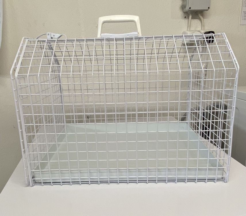Katzen Haustier Transport Box Kiste Korb Gitter Käfig (Gebraucht) in ...