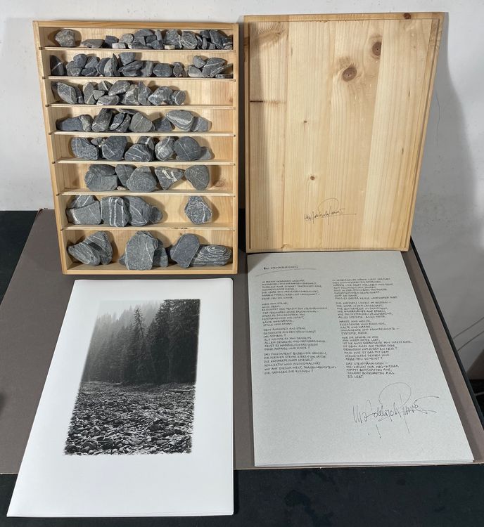 Urs Adelrich Furrer & Gian Marco Castelberg Skulptur & Fotog (Gebraucht ...