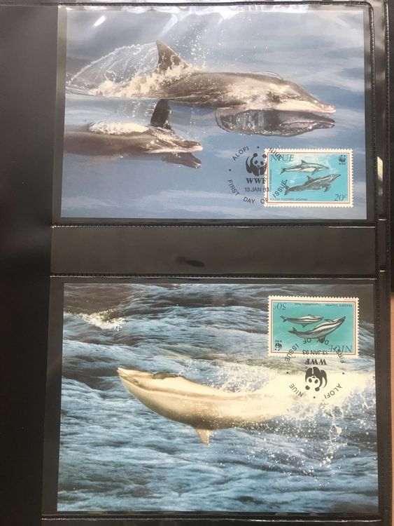 Niue 1993 Satz WWF Delphine Pazifik Maximumkarten (Neu (gemäss Beschreibung)) in Liestal für CHF ...