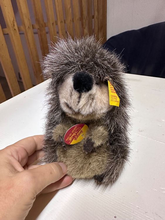 Steiff Joggi Igel | Kaufen auf Ricardo