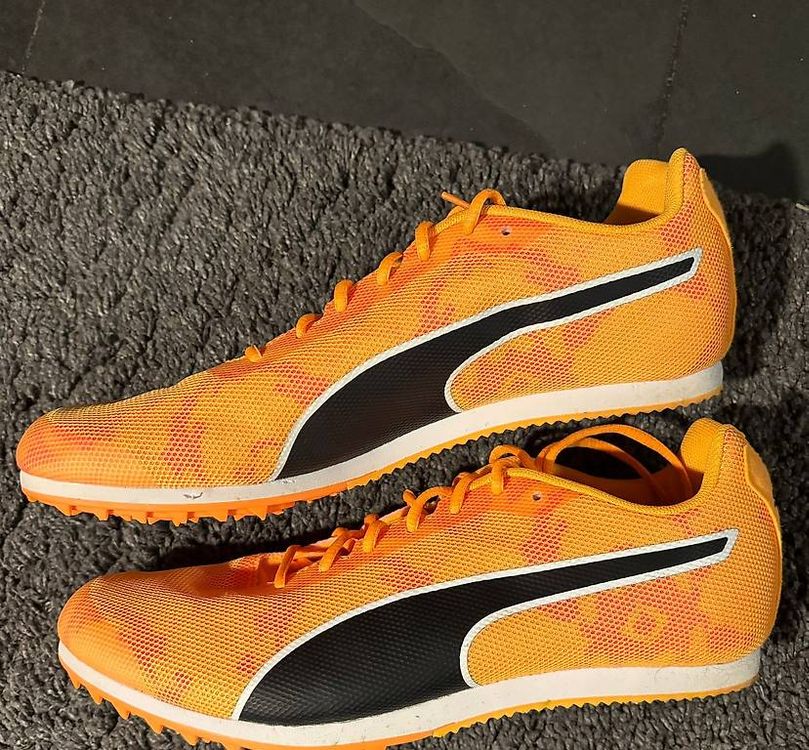 Puma evoSPEED Star 8 Leichtathletikschuhe (Gebraucht) in Teufen für CHF ...