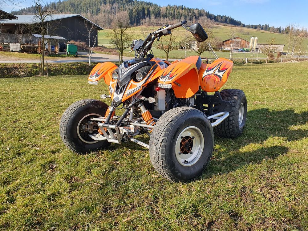 Quad Polaris Predator 500 (Gebraucht) in Grosswangen für CHF 2110 – nur ...