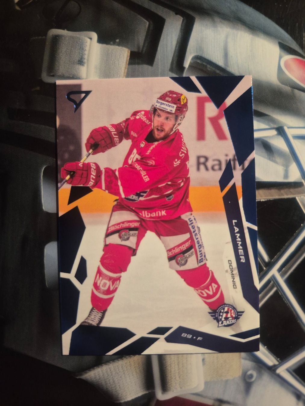 Dominic Lammer Rapperswil Jona Lakers 2025/26 Sportzoo Blue (Gebraucht ...