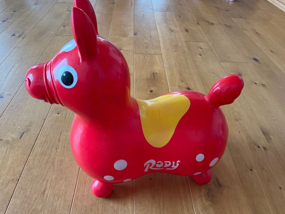 Rody Hüpfpferd (Gebraucht) in Balmberg für CHF 5 – nur Abholung auf Ricardo kaufen