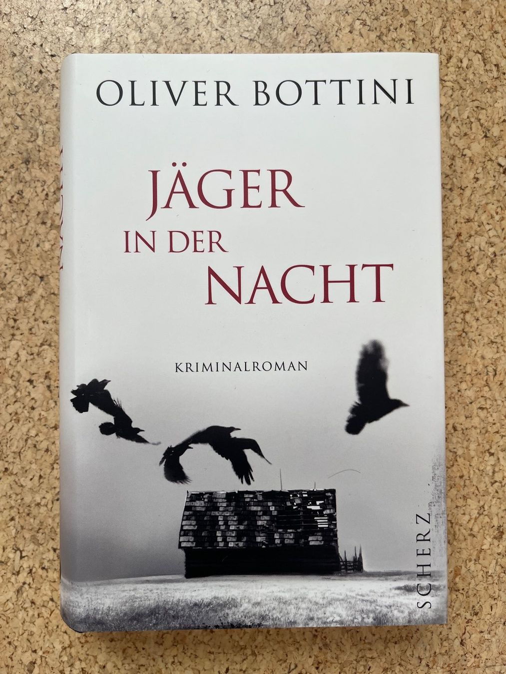 Buch gebunden "Jäger in der Nacht", Oliver Bottini (Gebraucht) in ...