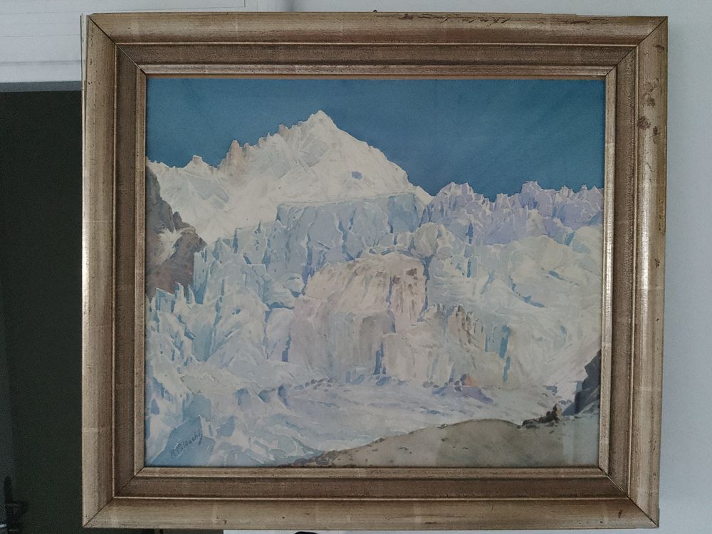 Remo Patocchi Aquarell (Gebraucht) in Uster für CHF 175 – mit Lieferung ...
