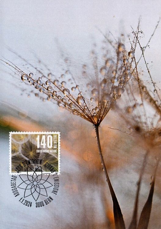 Maximumkarte Naturmuster - Samenstand (Neu (gemäss Beschreibung)) in Dottikon für CHF 4.5 – mit ...