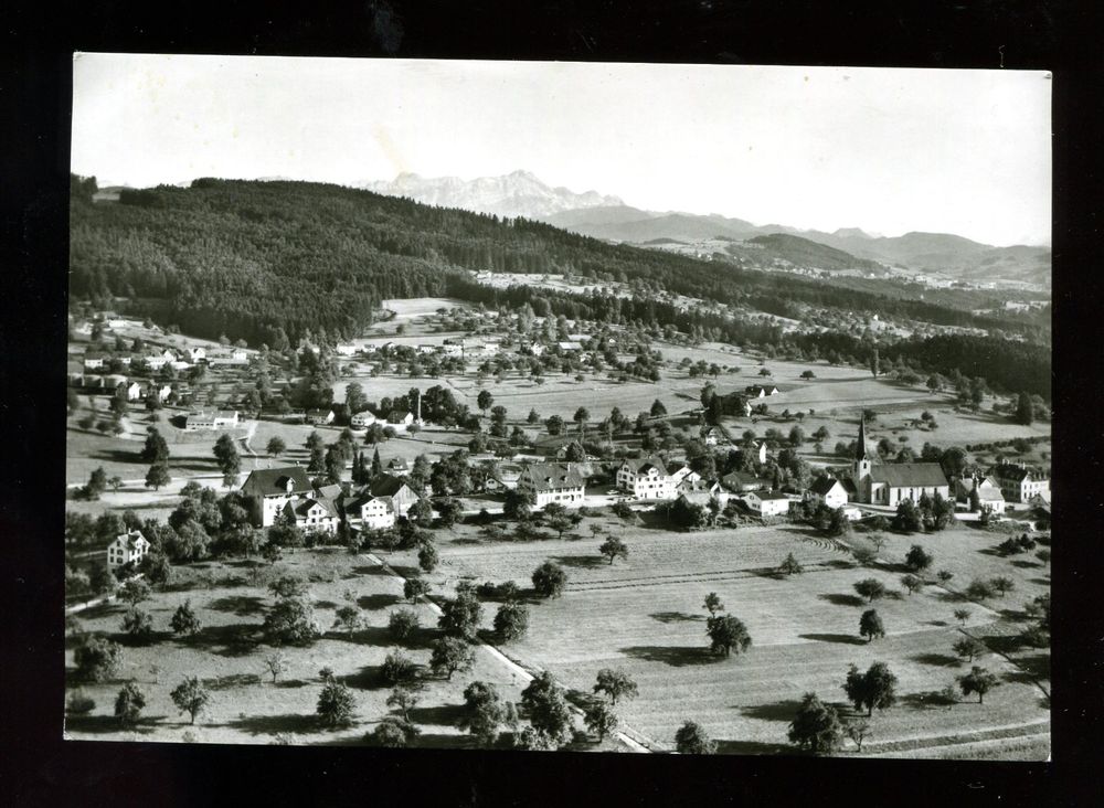 Wittenbach (Gebraucht) in Aarau für CHF 28.5 – mit Lieferung auf ...