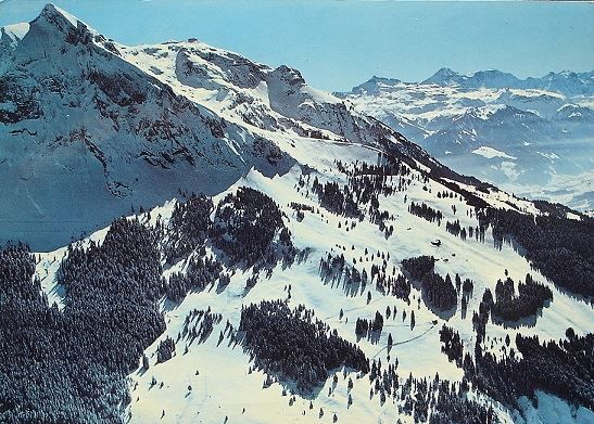 MOLLIS GL Skigebiet Fronalpstock-Schilt (Gebraucht) in Jona für CHF 3.9 ...