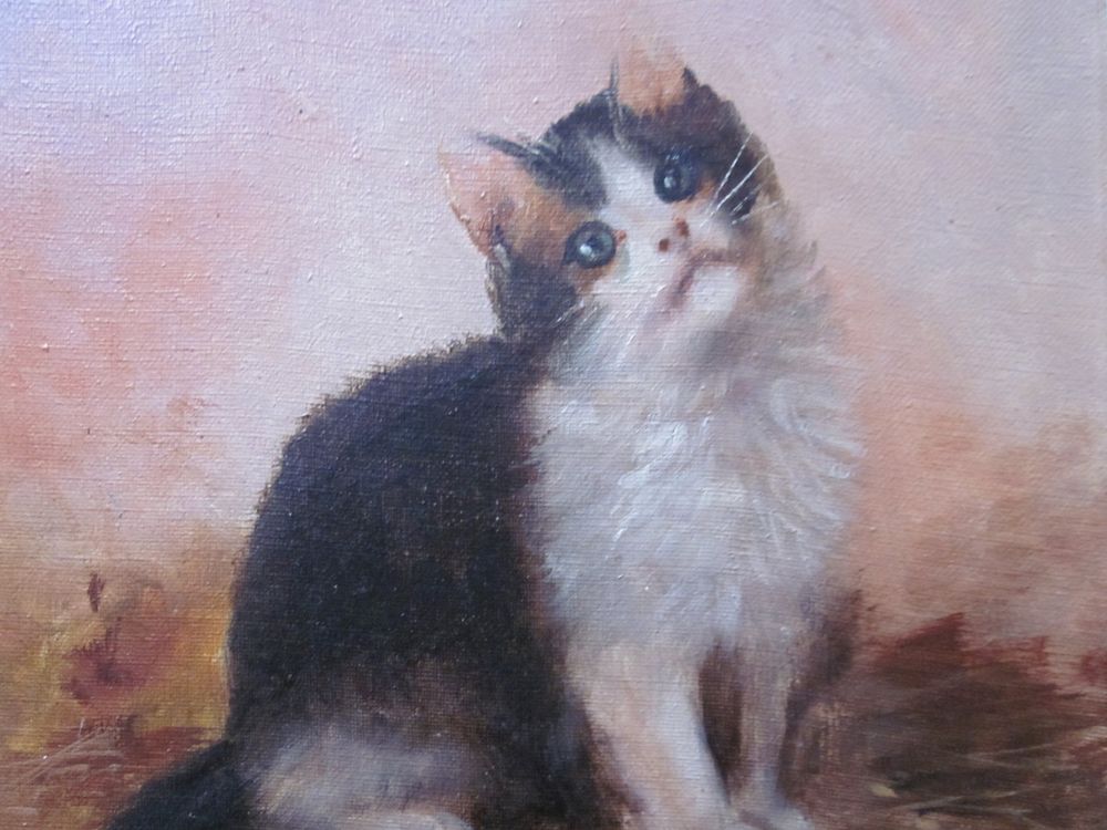 Schönes KATZENBILD Oel auf Leinwand unleserlich signiert | Kaufen auf ...