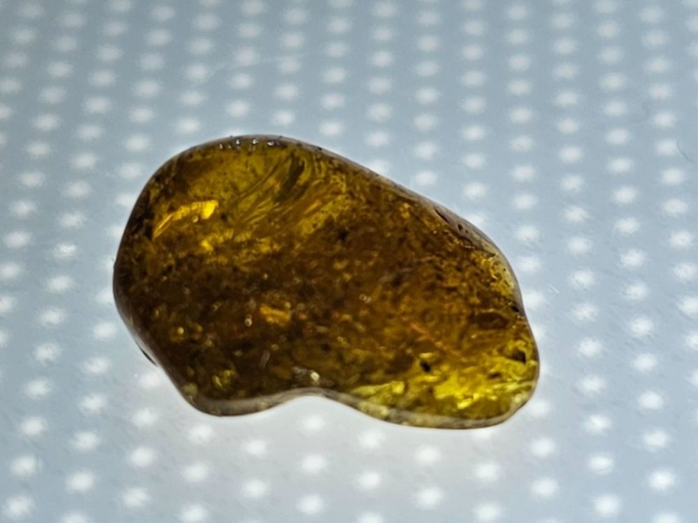 Bernstein mit Inkluse Naturbernstein Anhänger möglich Insekt | Kaufen ...