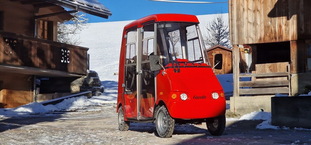 Seniorenmobil Zweiplätzer, Elektromobil, Graf Carello Duett (Gebraucht ...