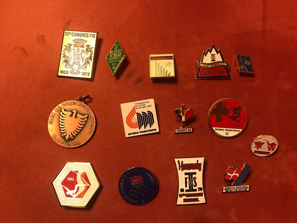 Pins Kaufen Auf Ricardo