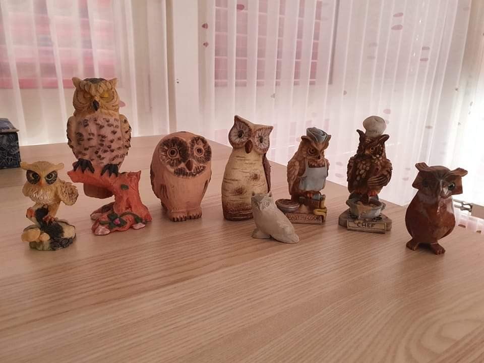 Uhu Eulen sammeln Set | Kaufen auf Ricardo