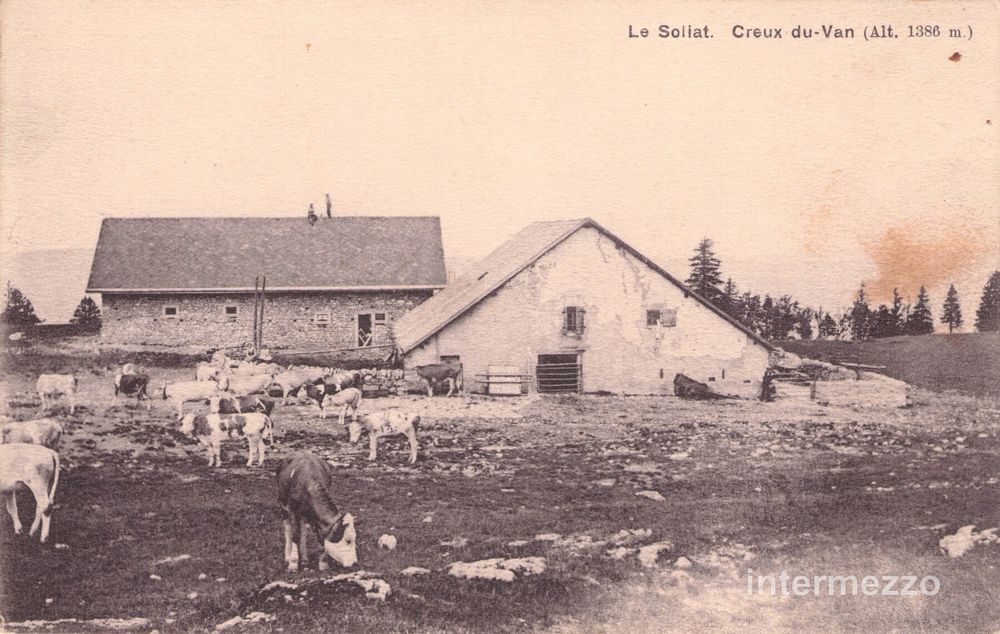 Creux-du-Van NE // ca. 1910 Le Soliat vaches Kühe (Gebraucht) in Basel ...