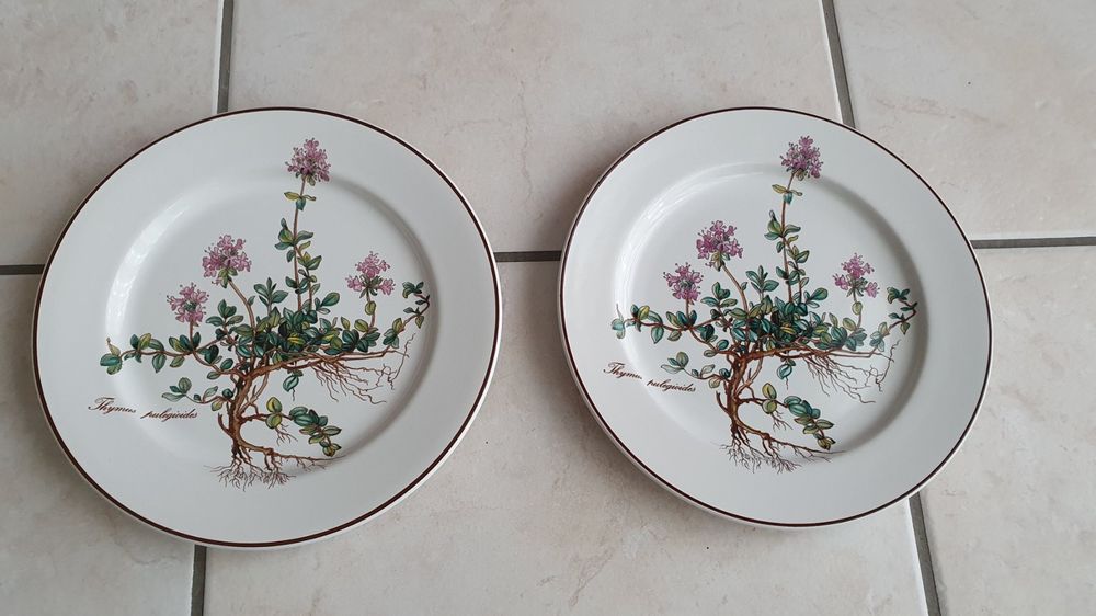 2+1 Dessertteller 21 cm Botanica - Villeroy & Boch | Kaufen auf Ricardo