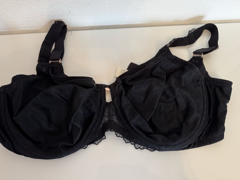 Triumph Azalea florale - 90E (Gebraucht) in Uster für CHF 10 – mit ...
