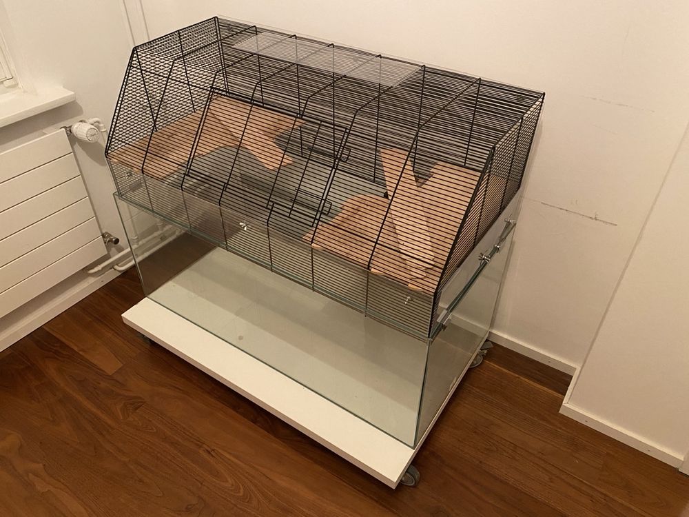 Hamster- oder Mäusekäfig mit Glasunterbau & Zubehör (Gebraucht) in für ...