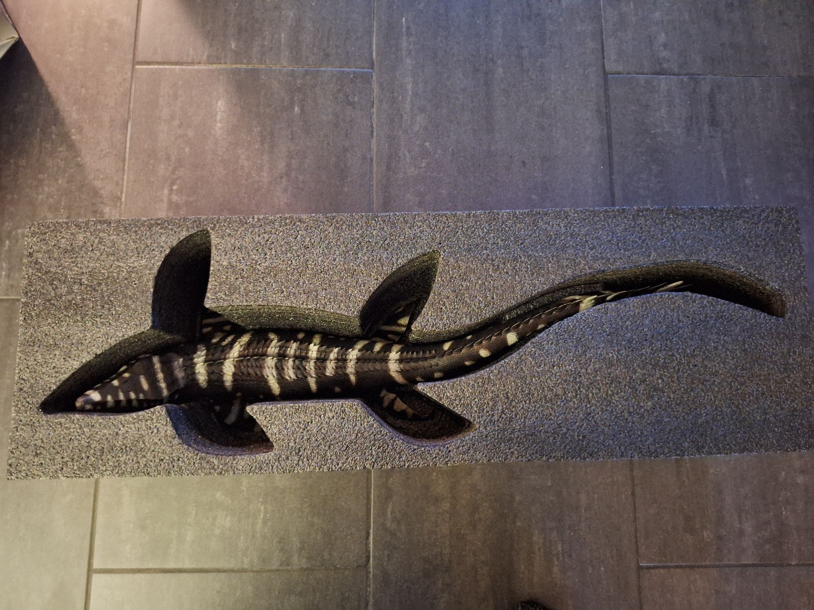 Mosasaurus von Nanmu Leviathan 2.0 Dinosaurier (Neu (gemäss ...