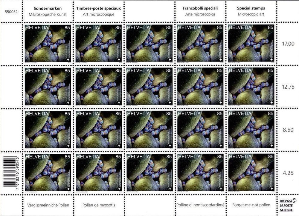 Bogen Mikroskop Kunst Vergissmeinnicht** (Neu (gemäss Beschreibung)) in Dottikon für CHF 21 ...