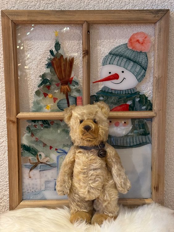 STEIFF Teddy Baby mit Knopf (Gebraucht) in Neuendorf für CHF 120 – mit ...