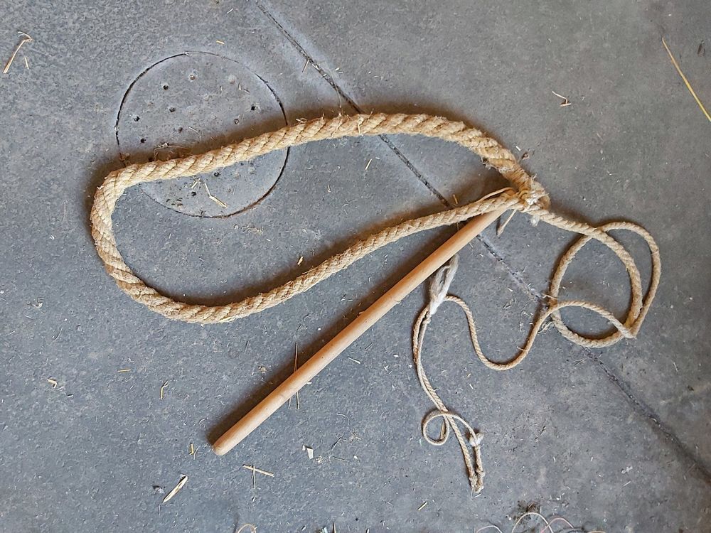 Geissel / Klausgeissel (Gebraucht) in für CHF 16 – nur Abholung auf ...