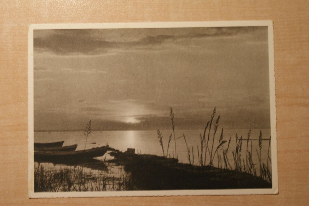 AK Sonnenuntergang am Bodensee, Fischerboote, Schilf (Gebraucht) in Herisau für CHF 2 – mit ...