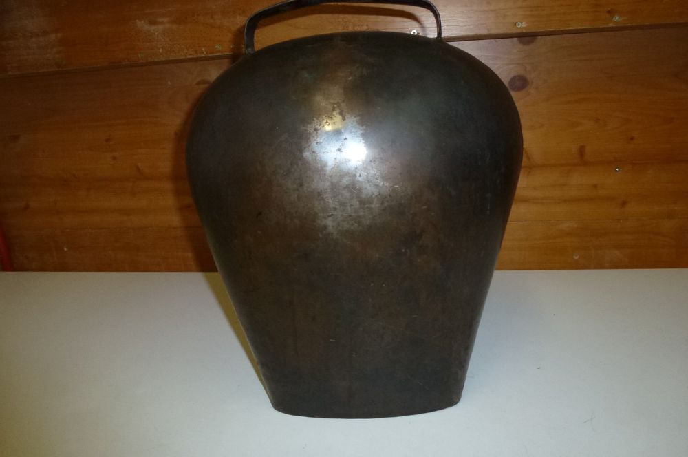 Steiner Treichel mit S Nr. 3 (Gebraucht) in Bürglen UR für CHF 260 ...