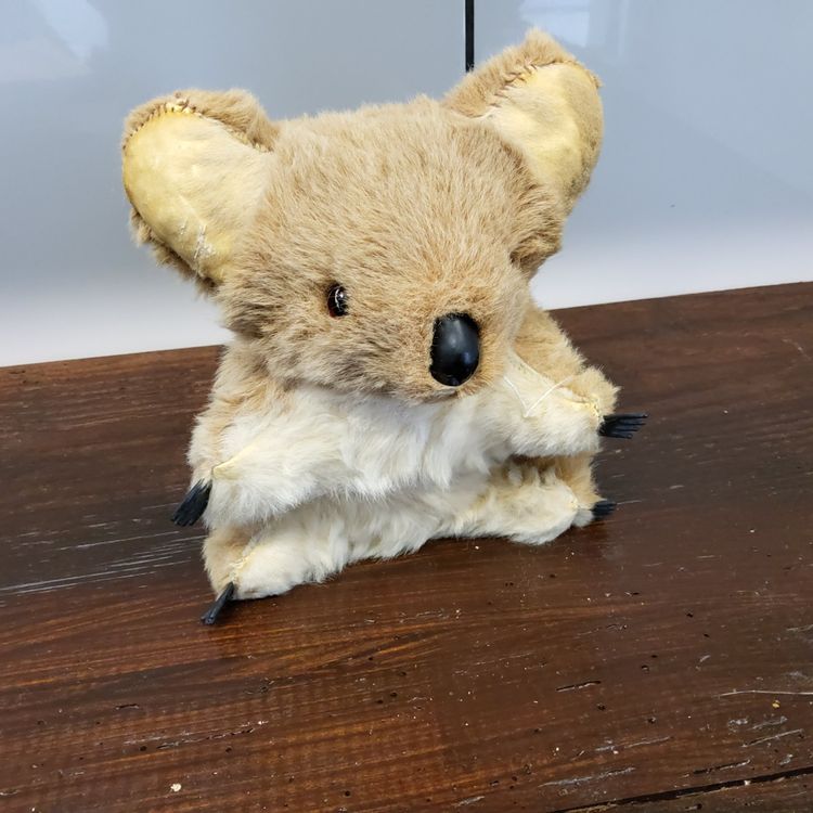Steiff Classic Koala (Gebraucht) in Herisau für CHF 9 – mit Lieferung ...