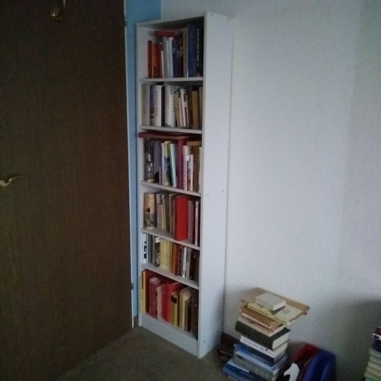 Bucherregal 50 Cm Breit
