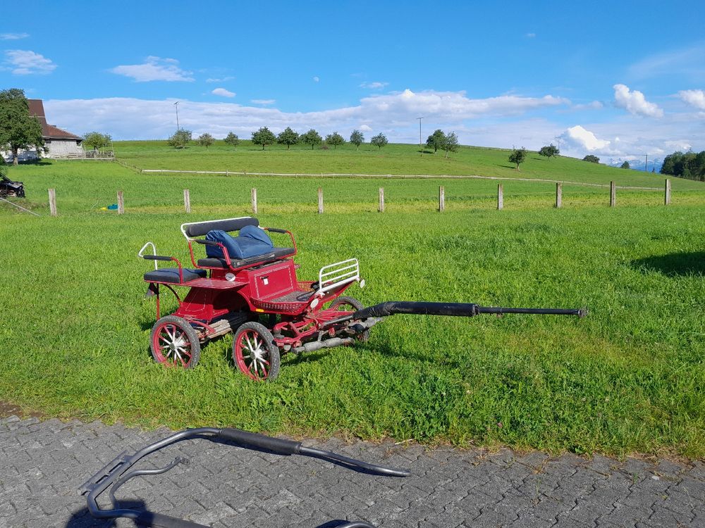 Pferdekutsche Kutsche für Pferde- Ponys (Gebraucht) in sins für CHF 600 ...