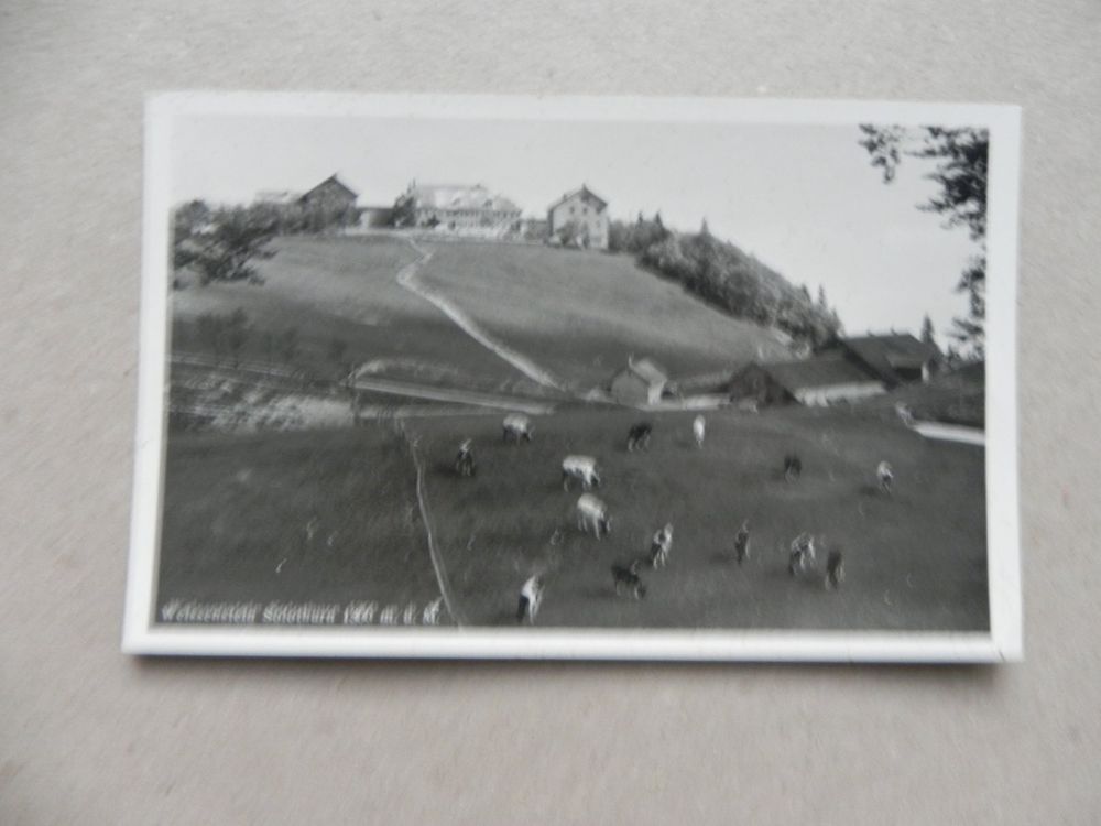 Karte Weissenstein SO Solothurn Witschaft Sennhaus 1938 (Gebraucht) in ...