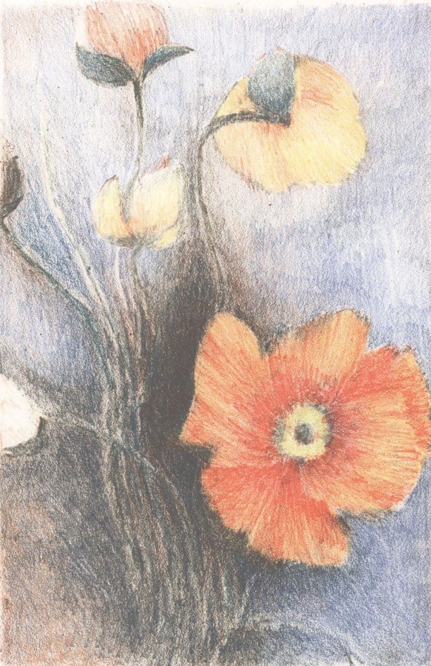 Glauser Lotti 1953 (Neuf (Voir description)) à Biel/Bienne pour CHF 59 ...