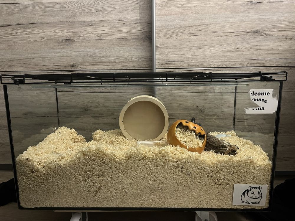 Terrarium (hamster) (Gebraucht) in Niedergösgen für CHF 75 – nur ...