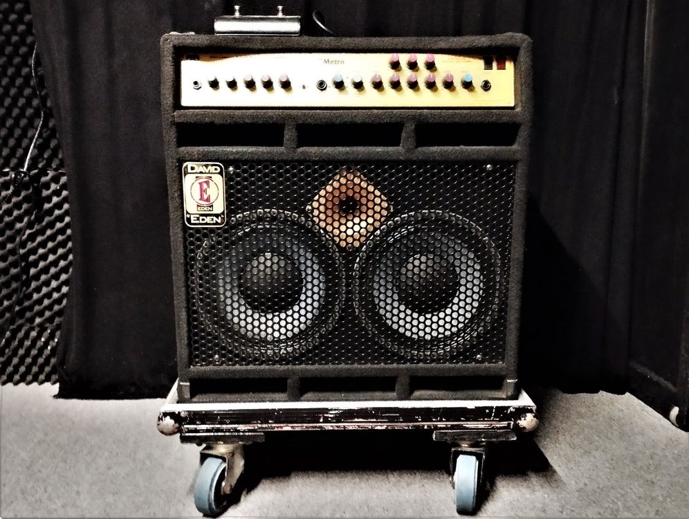 DAVID EDEN Metro Bass Amp inkl. Case (Gebraucht) in Lachen SZ für CHF ...