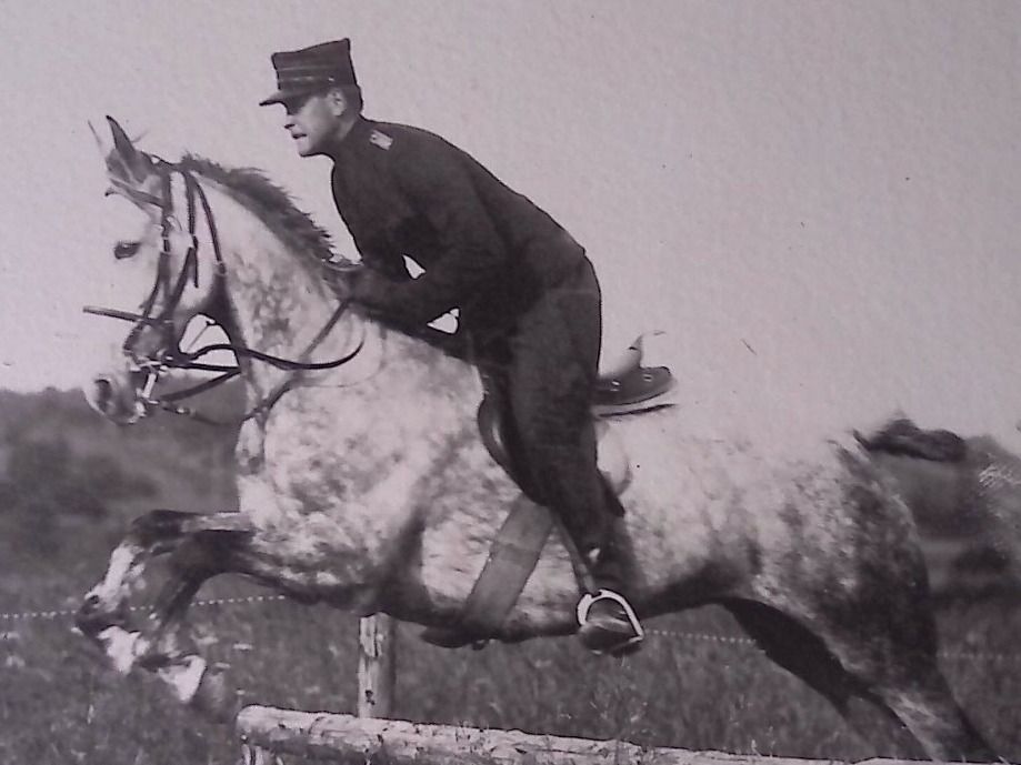 Foto AK 1914-18 Soldat Militär Auf Pferd im Sprung selten (D'occasion) à Russo pour CHF 2 – avec ...